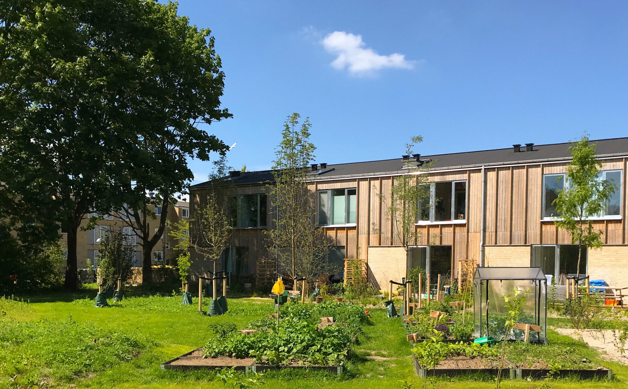 Tingbjerg - rækkehuse – Tingbjerg