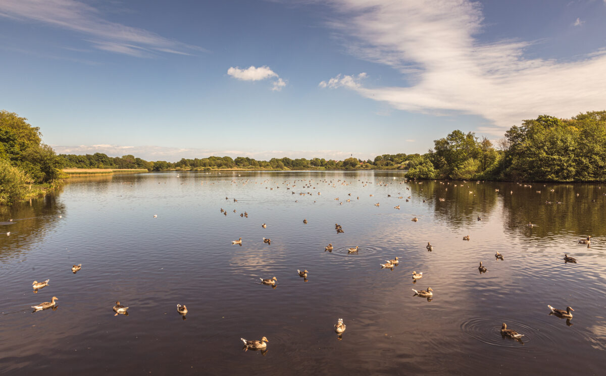 Om Tingbjerg – Tingbjerg